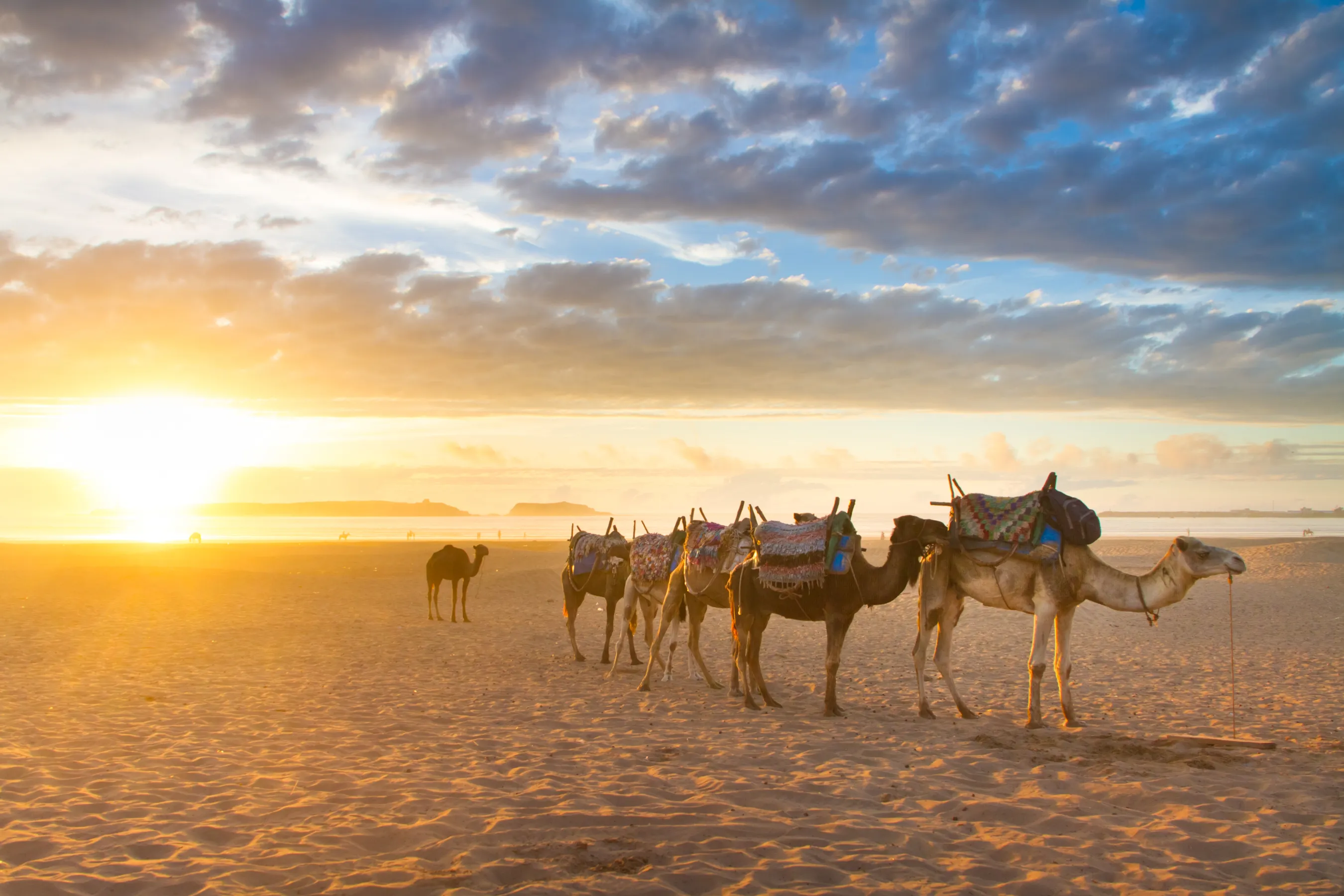 Marokko Urlaub 2026 – Marrakesch, Agadir & Atlantikküste | Falk Travel