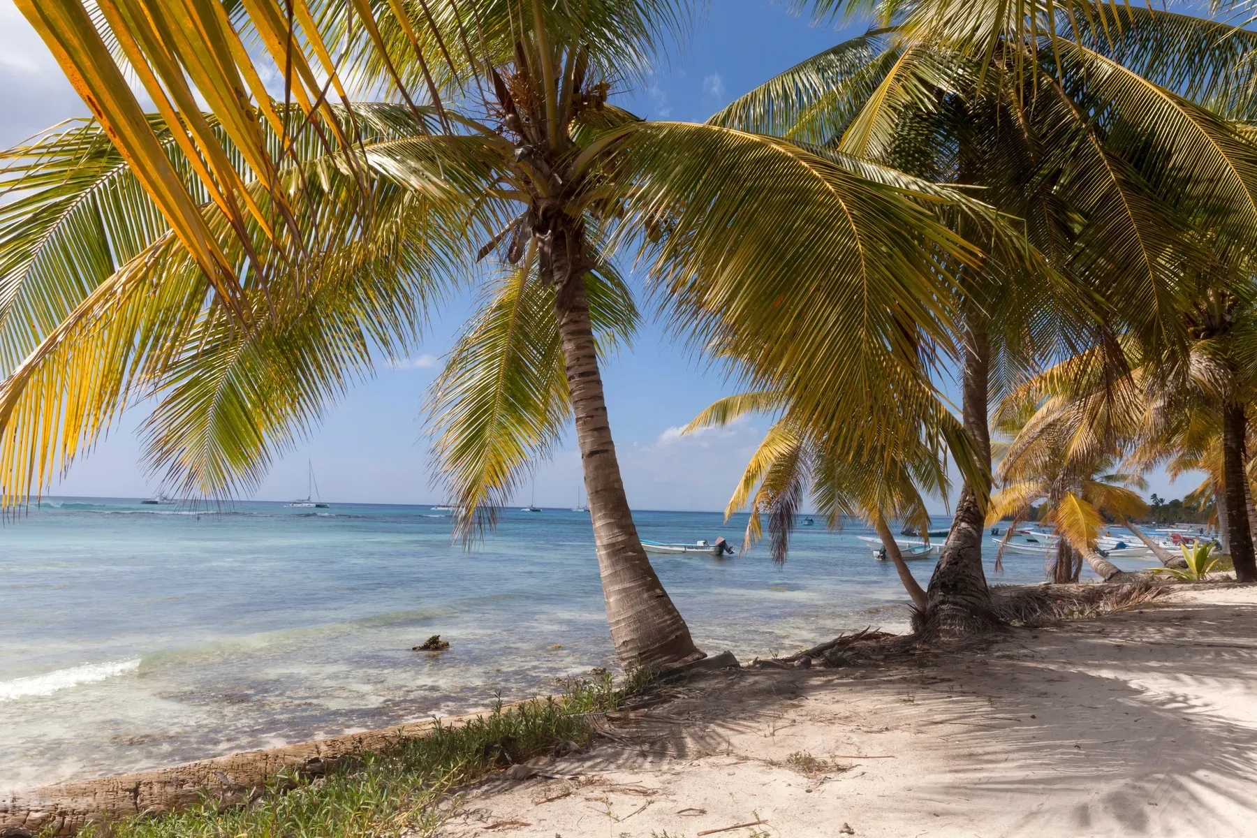 Reise Online Reisebüro Urlaub Ferien Reiseangebote Reiseziele
