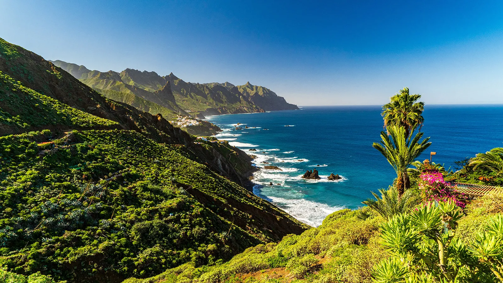 gr-canaries-1600jpg.webp
